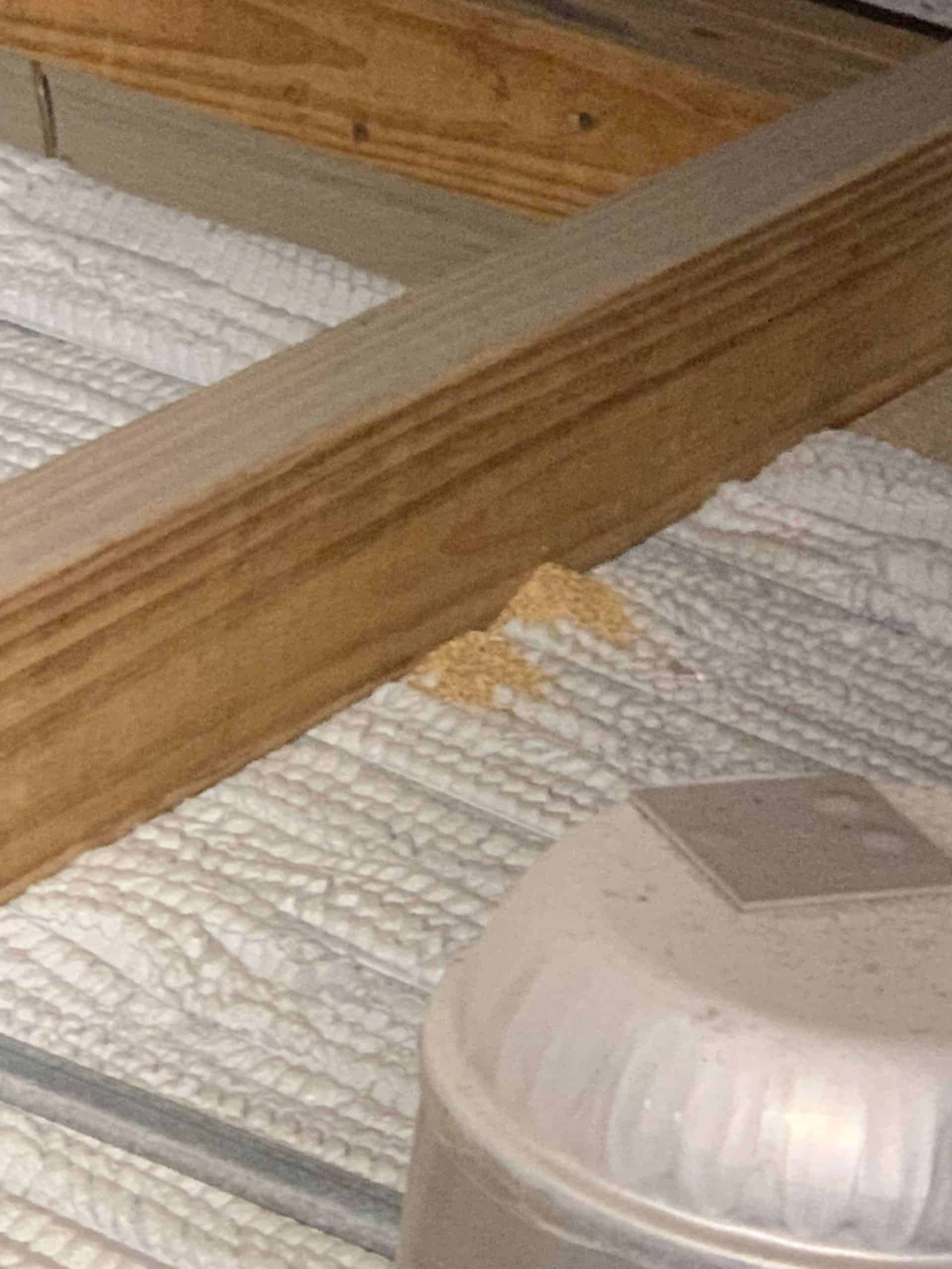 ProControl Termite and Pest Control