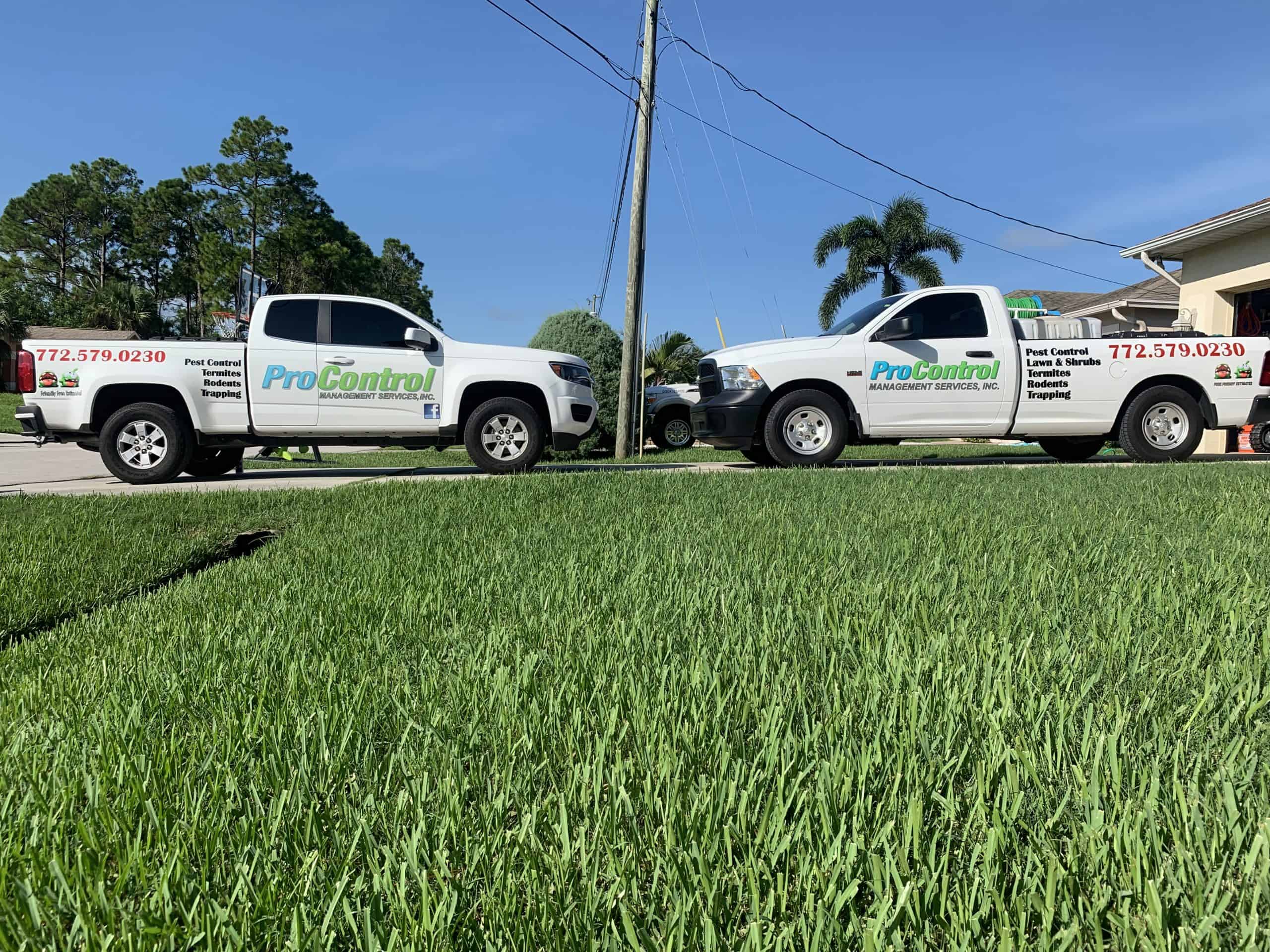 Gallery - ProControl Termite and Pest Control